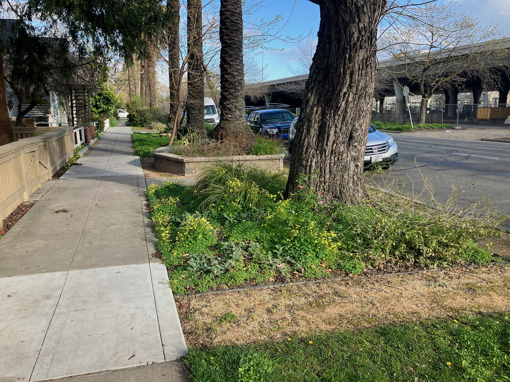 sidewalk buffer widths – Getting Around Sacramento